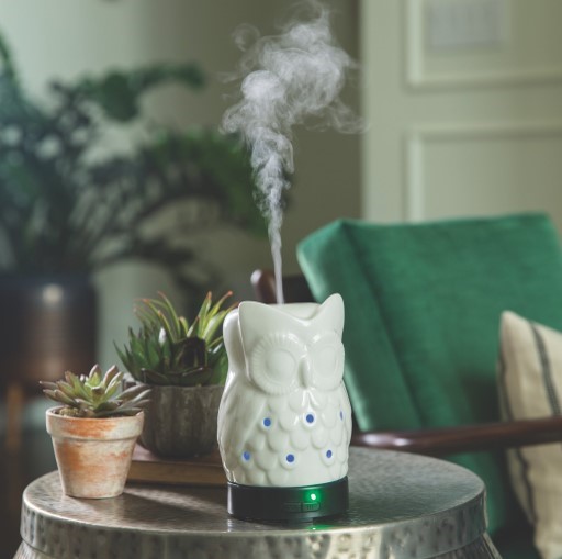 Owl Ultrasonic Aroma Diffuser | A & D Home and Body, QLD